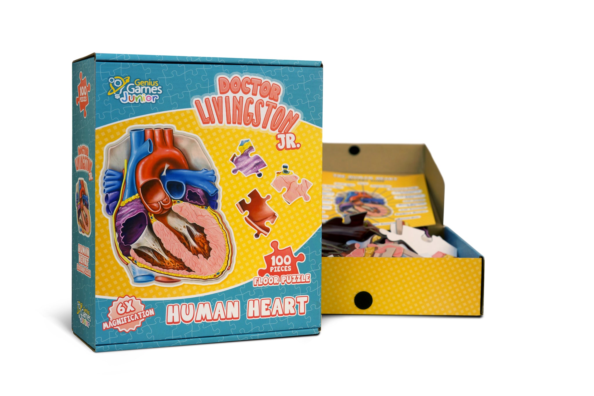 Human Heart Floor Kids Puzzle - Dr. Livingston's Unique Shaped 100 Pie ...