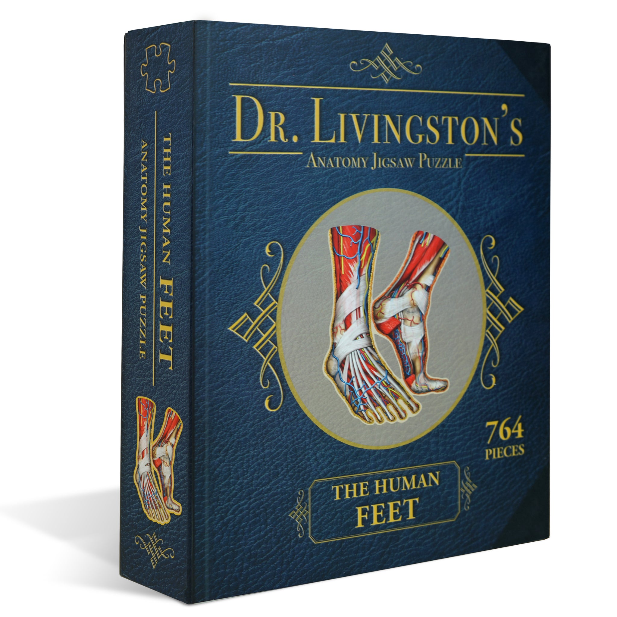 Human Feet Anatomy Jigsaw Puzzle | Dr. Livingston's Unique Shaped Scie ...