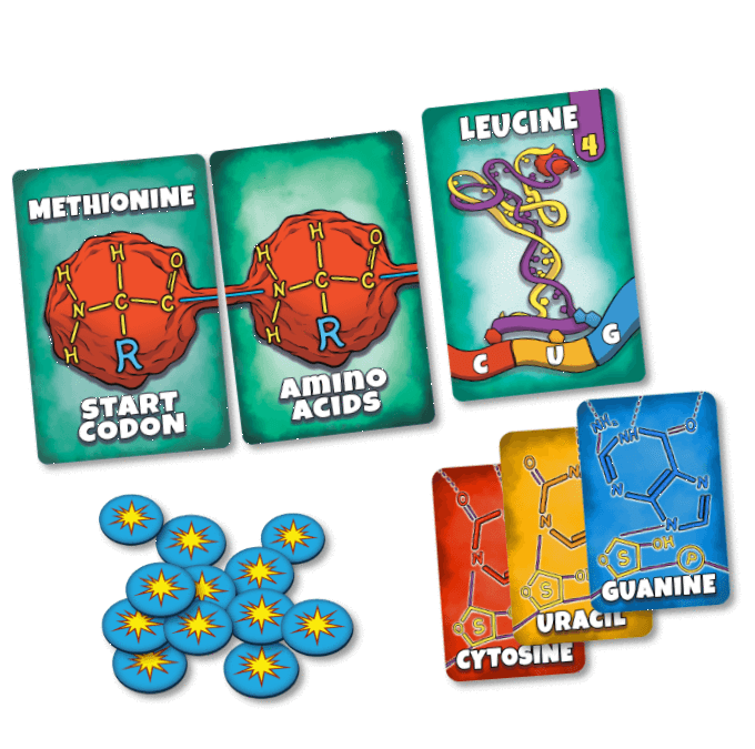 Peptide: A Protein Building Game – Genius Games EU